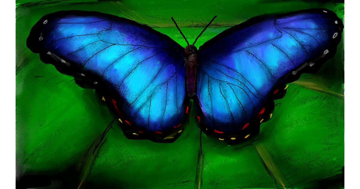 Leptir - crtež od autora: Soaring Sunshine - Drawize galerija!