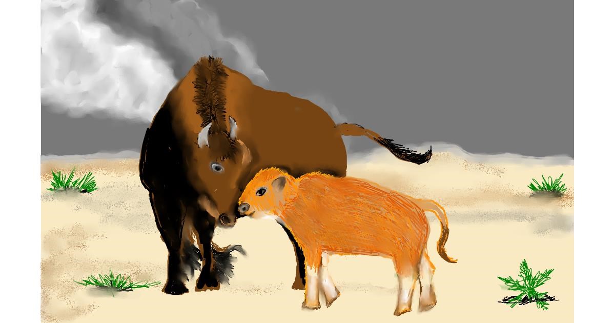 Watch SAM AKA MARGARET draw Bison!