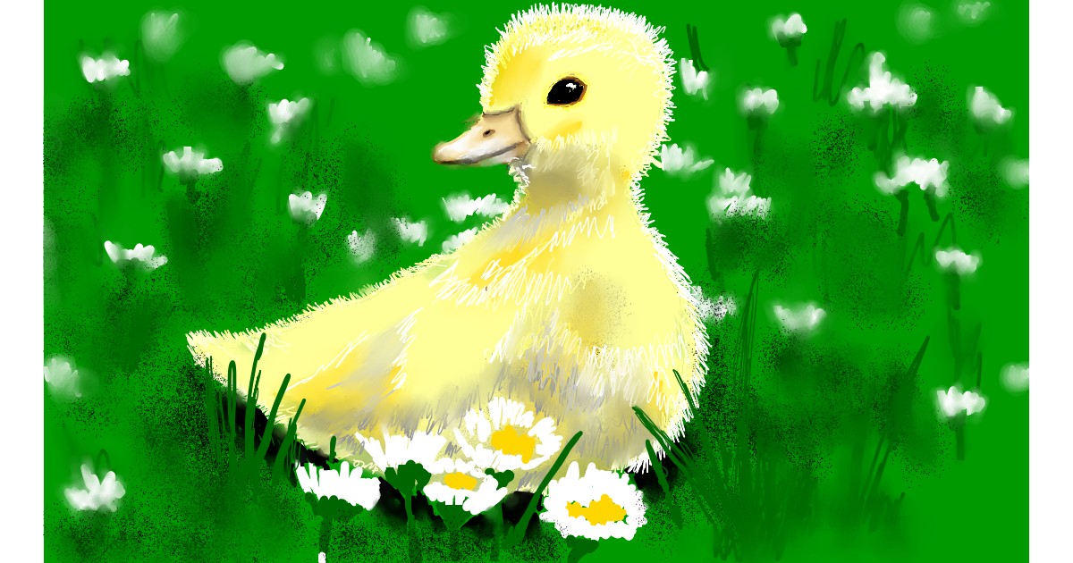 Watch SAM AKA MARGARET draw Duck!