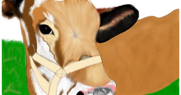Drawing of Cow by Chaching - Drawize Gallery!