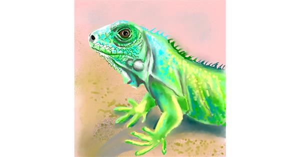 Drawing of Lizard by ⋆su⋆vinci彡 - Drawize Gallery!