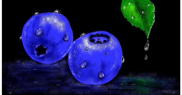 Blueberry Drawing - Gallery and How to Draw Videos!