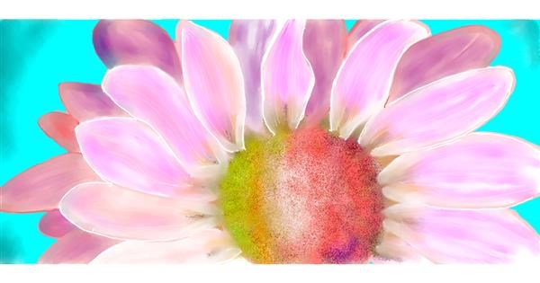 Drawing of Flower by Kim - Drawize Gallery!