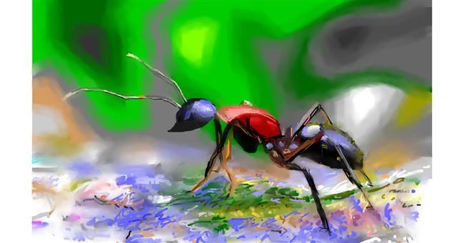 Drawing Of Ant By Herbert Drawize Gallery