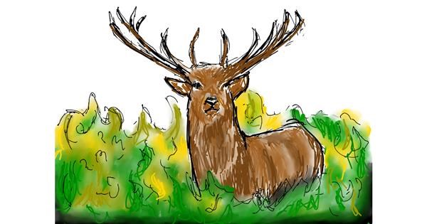 Drawing of Deer by Crowley - Drawize Gallery!