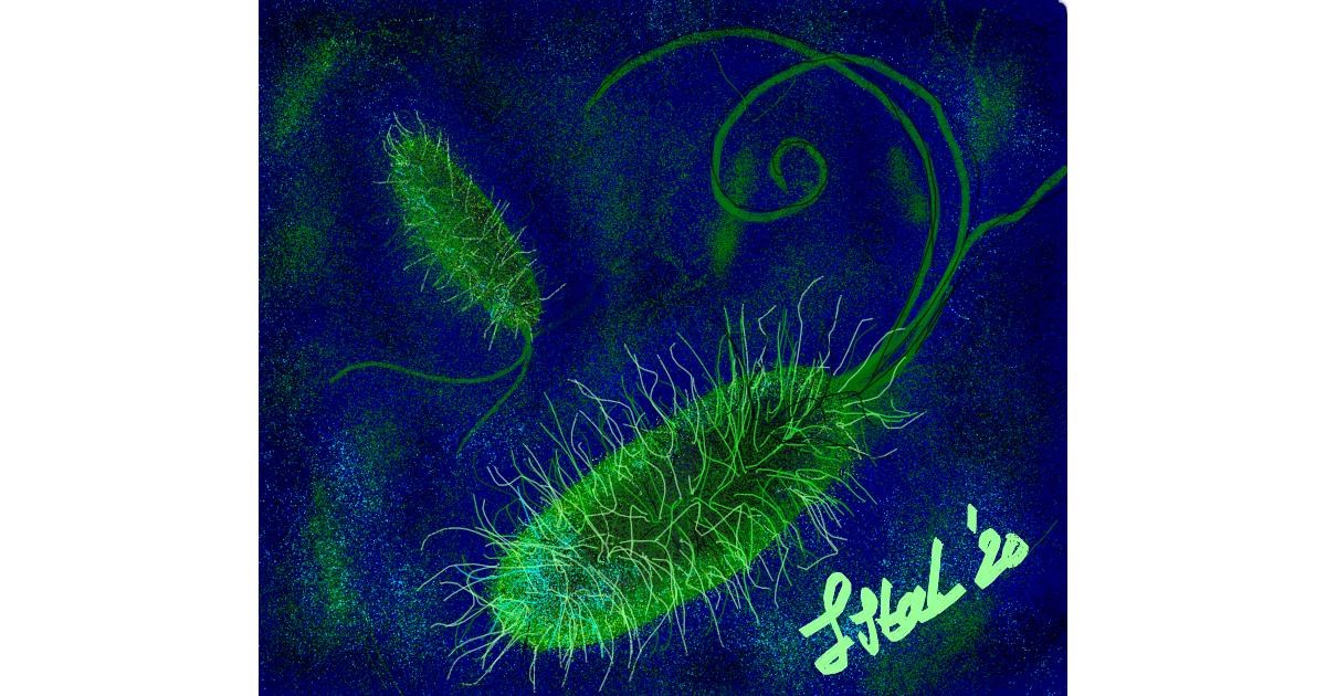 Watch Iris draw Bacteria!