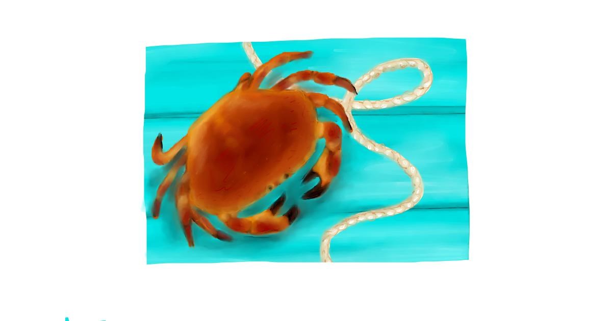 Rak - crtež od autora: ' Jules - Drawize galerija!