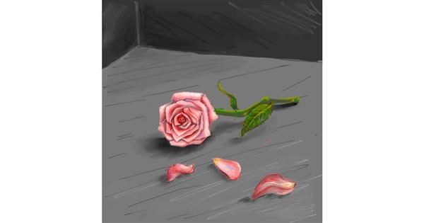 Drawing of Rose by Andromeda - Drawize Gallery!