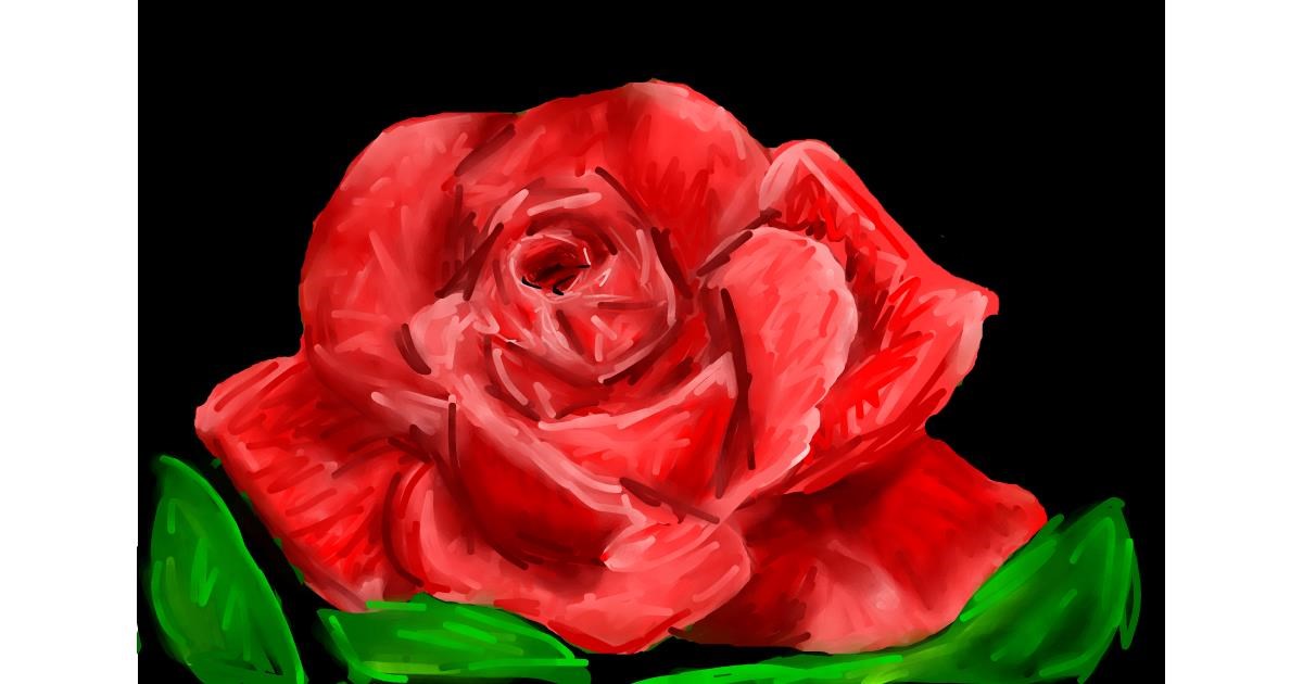 Pogledajte kako Mia crta Ruža!