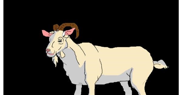 Drawing of Goat by farah - Drawize Gallery!