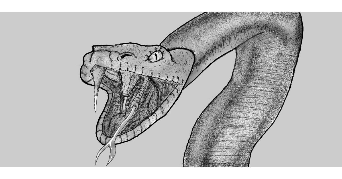 Watch Amy draw Snake!