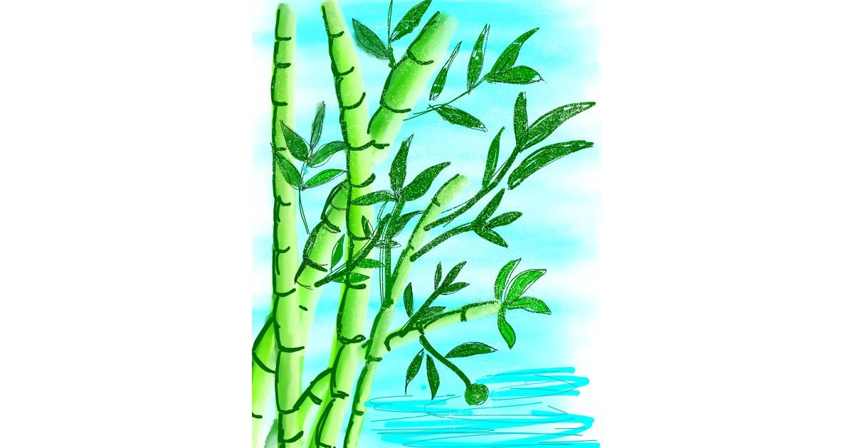 Watch SP draw Bamboo!