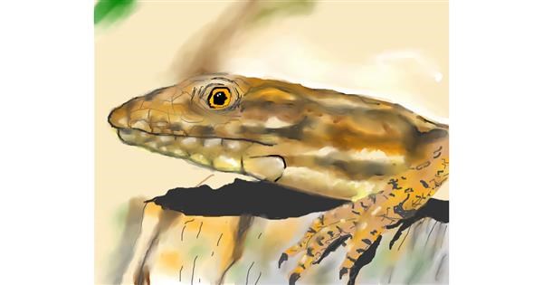 Drawing of Lizard by . - Drawize Gallery!