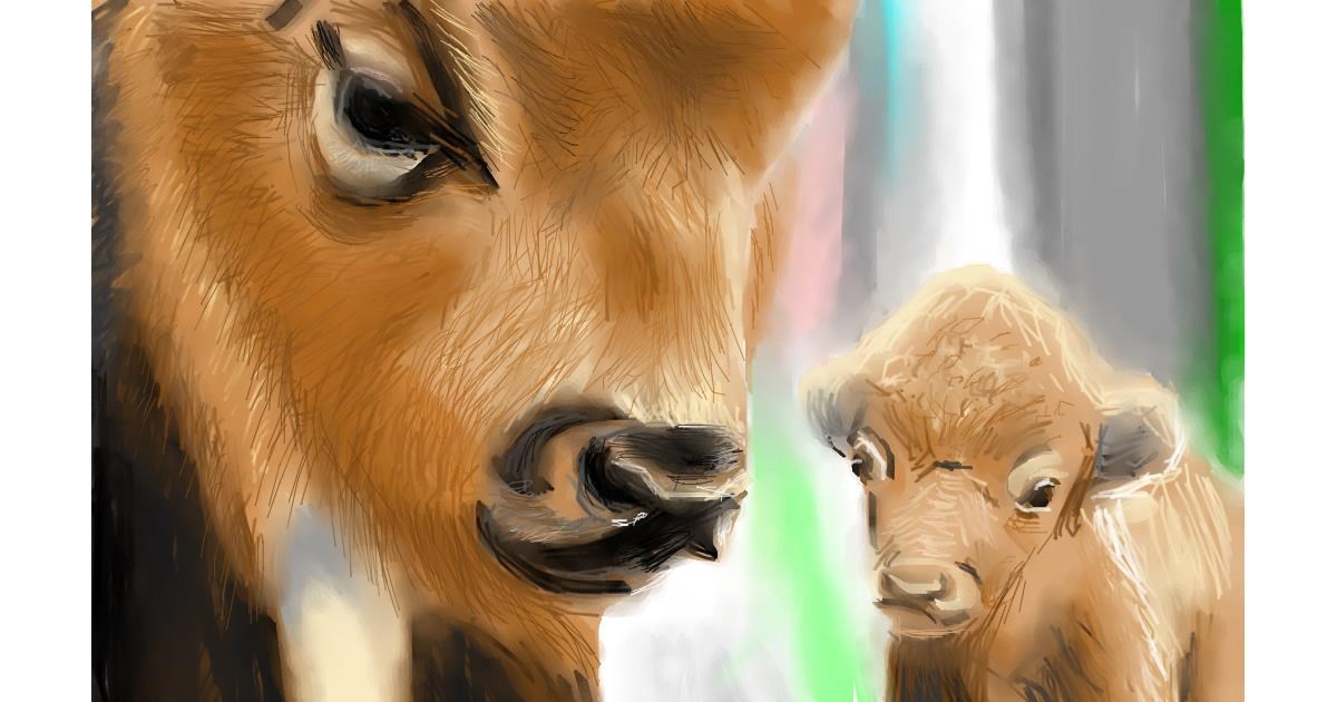 Bison Drawing - Gallery and How to Draw Videos!