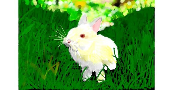 Drawing of Rabbit by VinnievanG - Drawize Gallery!