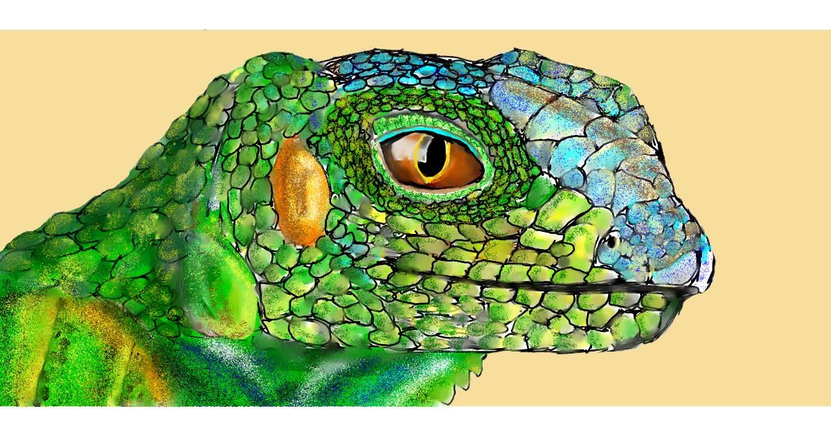 Watch Kim draw Lizard!