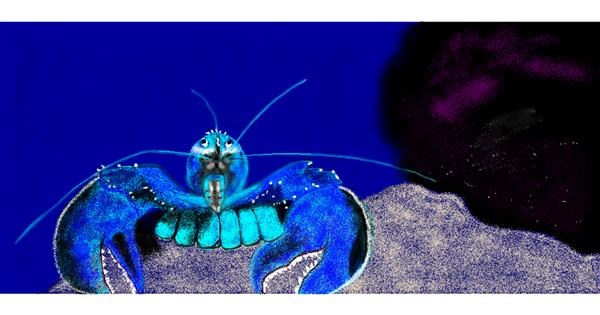 Drawing of Lobster by Chaching - Drawize Gallery!