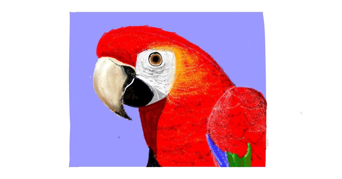 Watch Andrea draw Parrot!