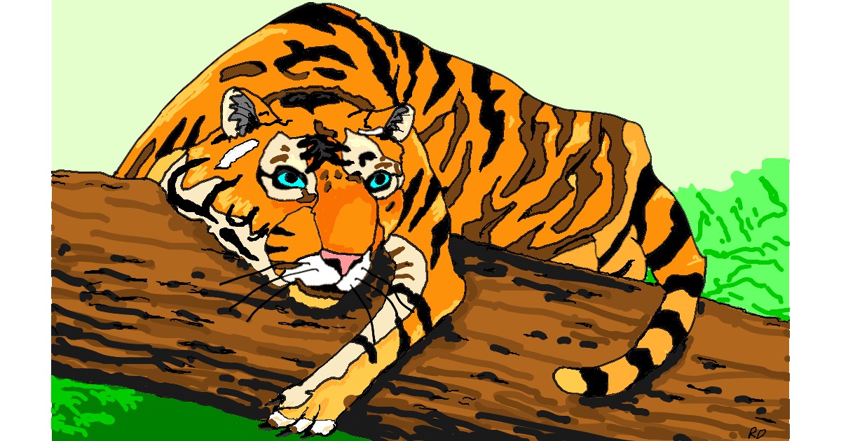 Watch Flowerpot draw Tiger!