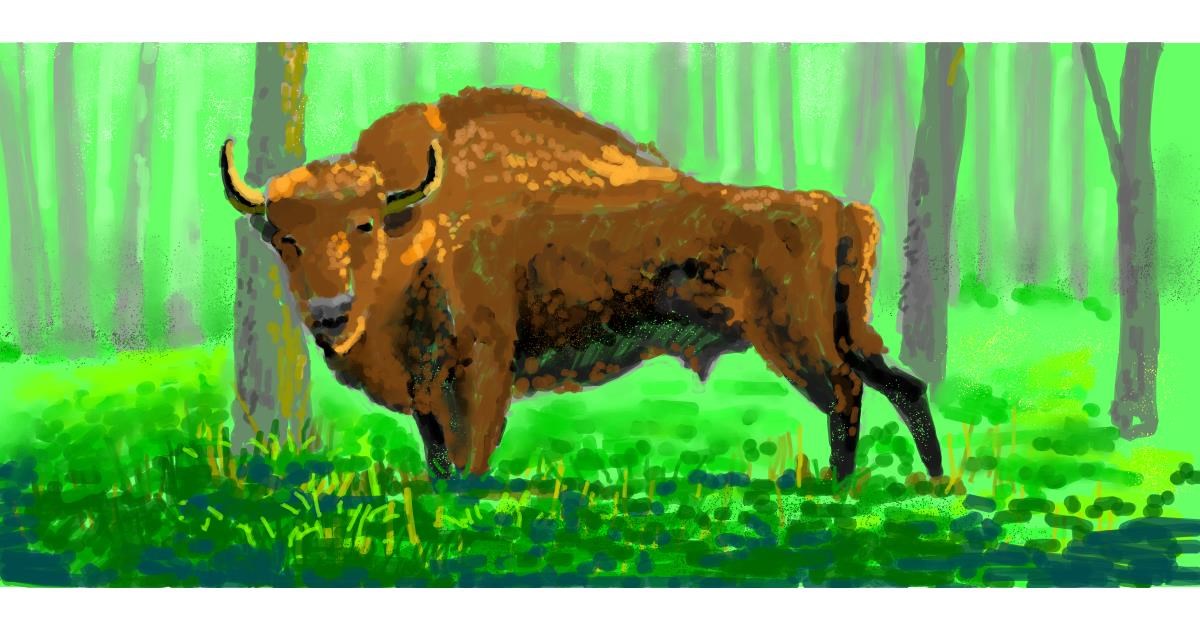 Drawing of Bison by Женя - Drawize Gallery!