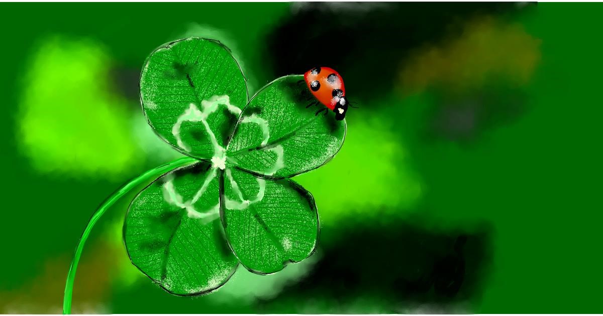 Clover Drawing - Gallery and How to Draw Videos!