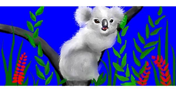 Drawing of Koala by DebbyLee - Drawize Gallery!