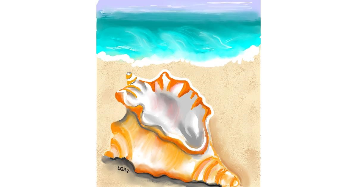 Seashell Drawing - Gallery and How to Draw Videos!