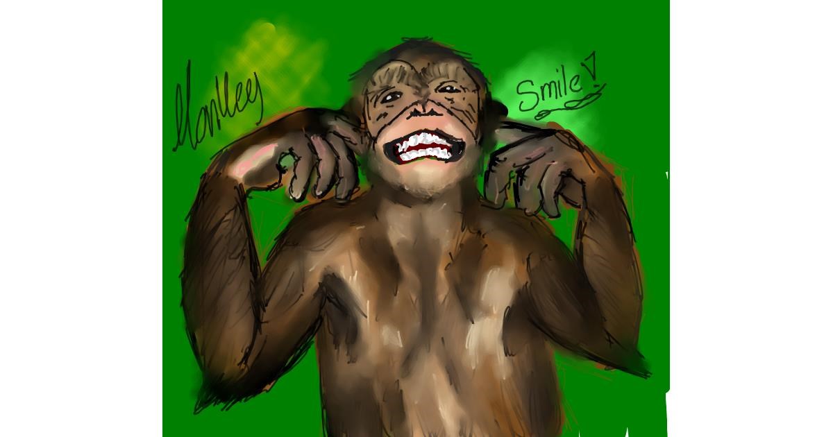 Watch Galactic draw Monkey!
