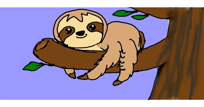 Drawing of Sloth by Rainbow - Drawize Gallery!