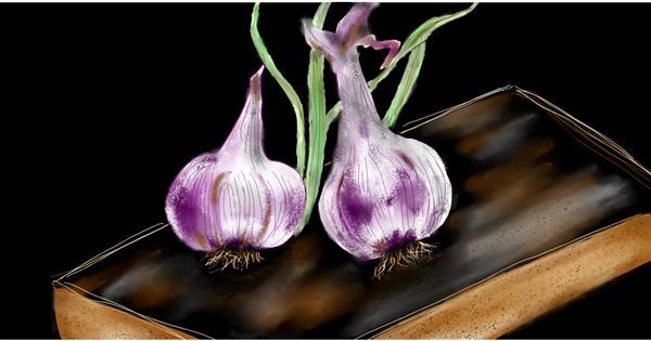 Drawing of Garlic by Eclat de Lune - Drawize Gallery!