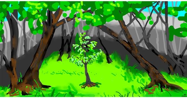 Drawing of Tree by Swimmer - Drawize Gallery!