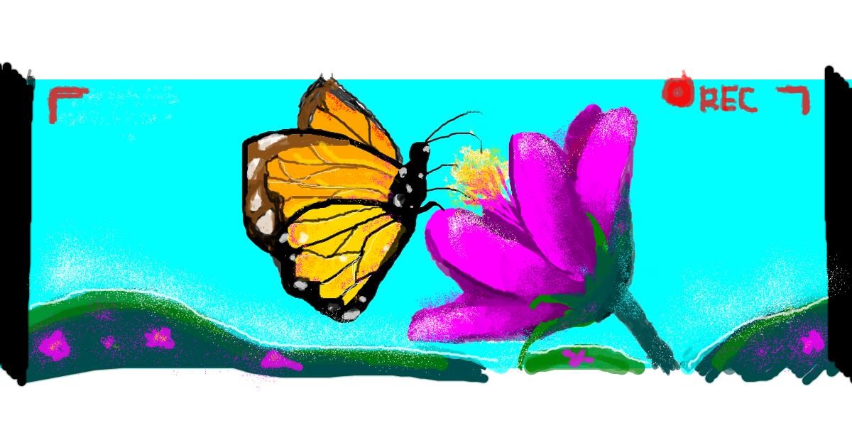 Pogledajte kako SacredCross crta Leptir!