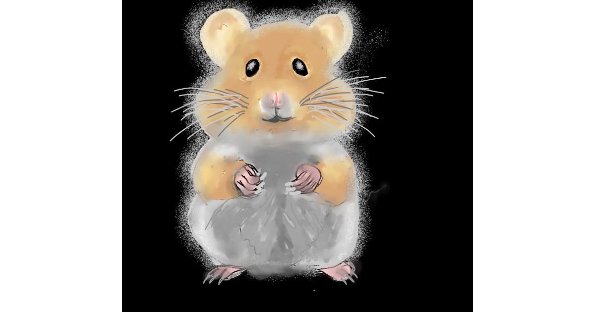 Watch Not.Old.Train draw Hamster!