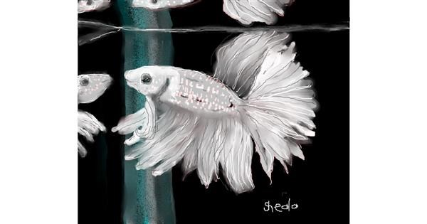 Drawing of Mirror by Kai - Drawize Gallery!