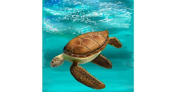 Drawing of Sea turtle by Andromeda - Drawize Gallery!
