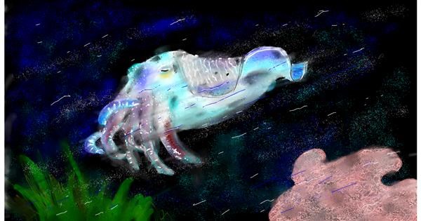 Drawing of Cuttlefish by Eclat de Lune - Drawize Gallery!