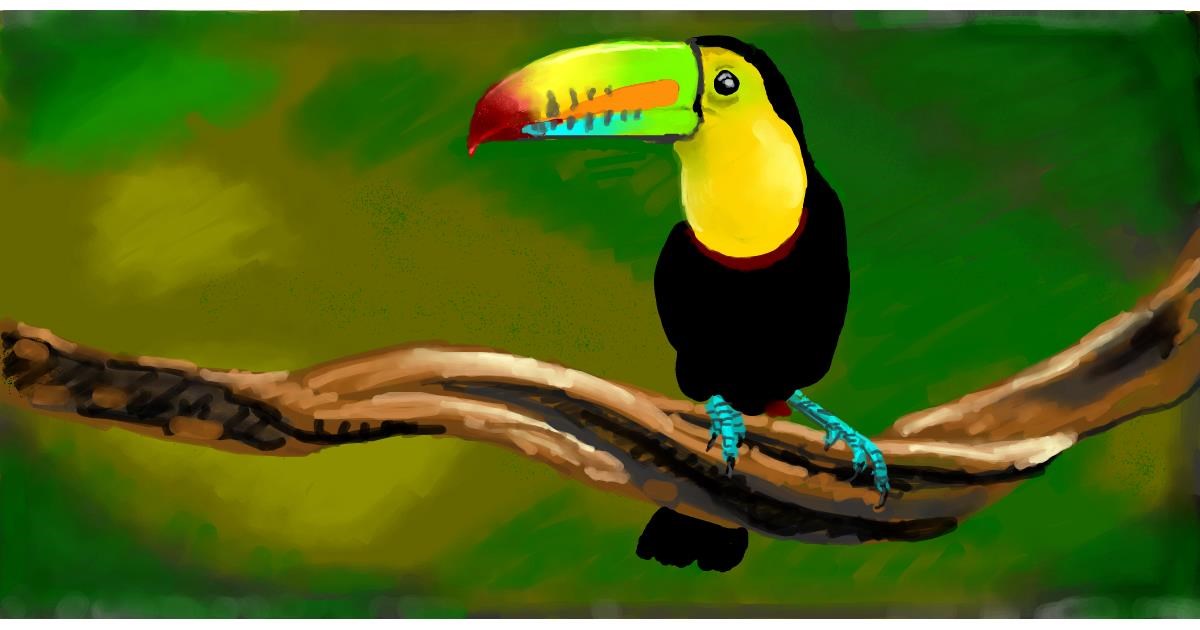 Watch shiNIN draw Toucan!