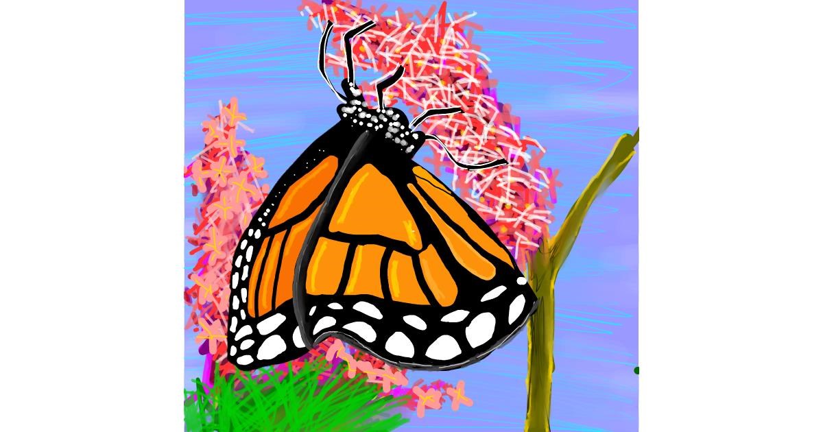 Pogledajte kako Bro crta Leptir!