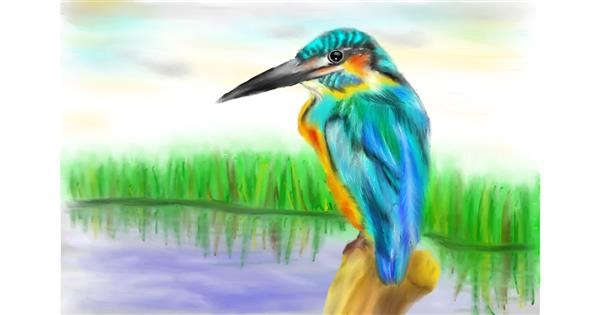 Drawing of Bird by Wizard - Drawize Gallery!