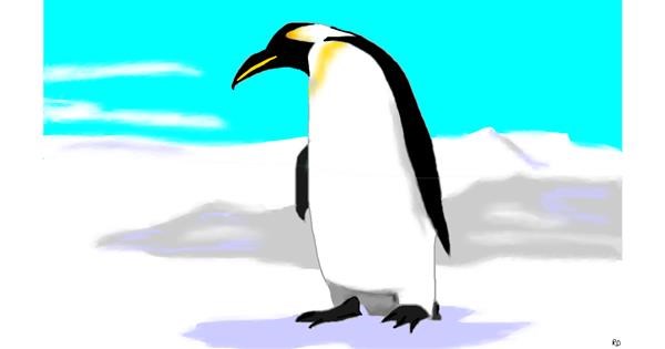 Drawing of Penguin by flowerpot - Drawize Gallery!