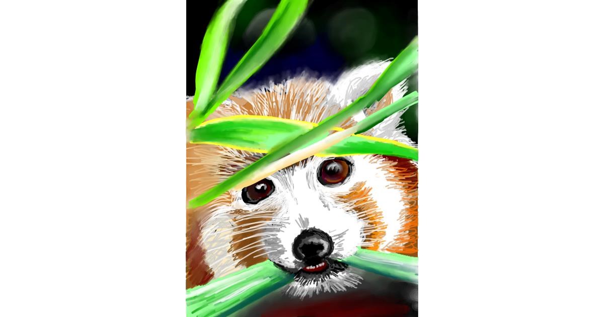 Watch ⋆su⋆vinci彡 draw Red Panda!