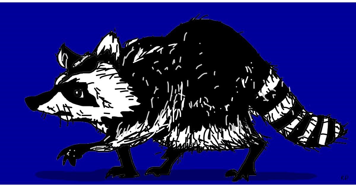 Watch Swimmer draw Raccoon!