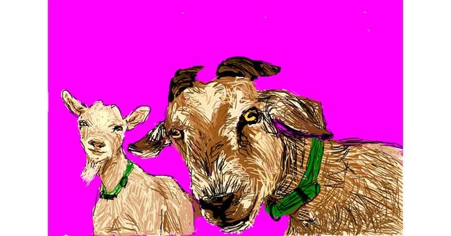 Drawing of Goat by Qt - Drawize Gallery!