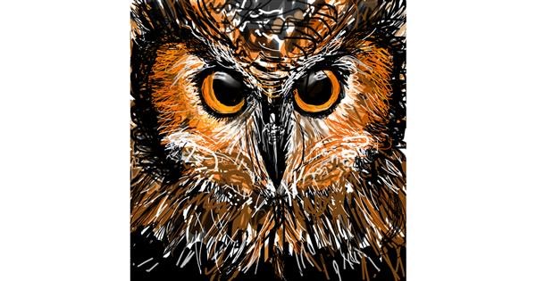 Drawing of Owl by KayXXXlee - Drawize Gallery!
