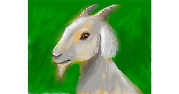 Drawing of Goat by SunShine - Drawize Gallery!