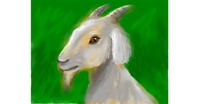 Drawing of Goat by SunShine - Drawize Gallery!