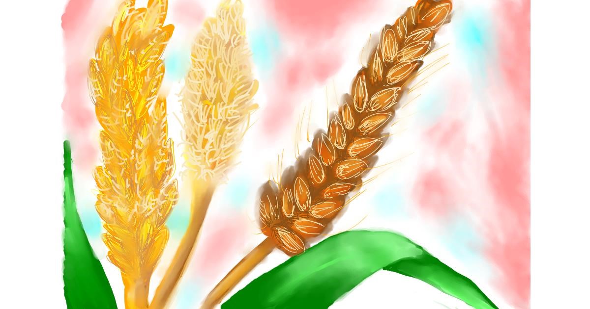 Watch zeenmachine draw Wheat!