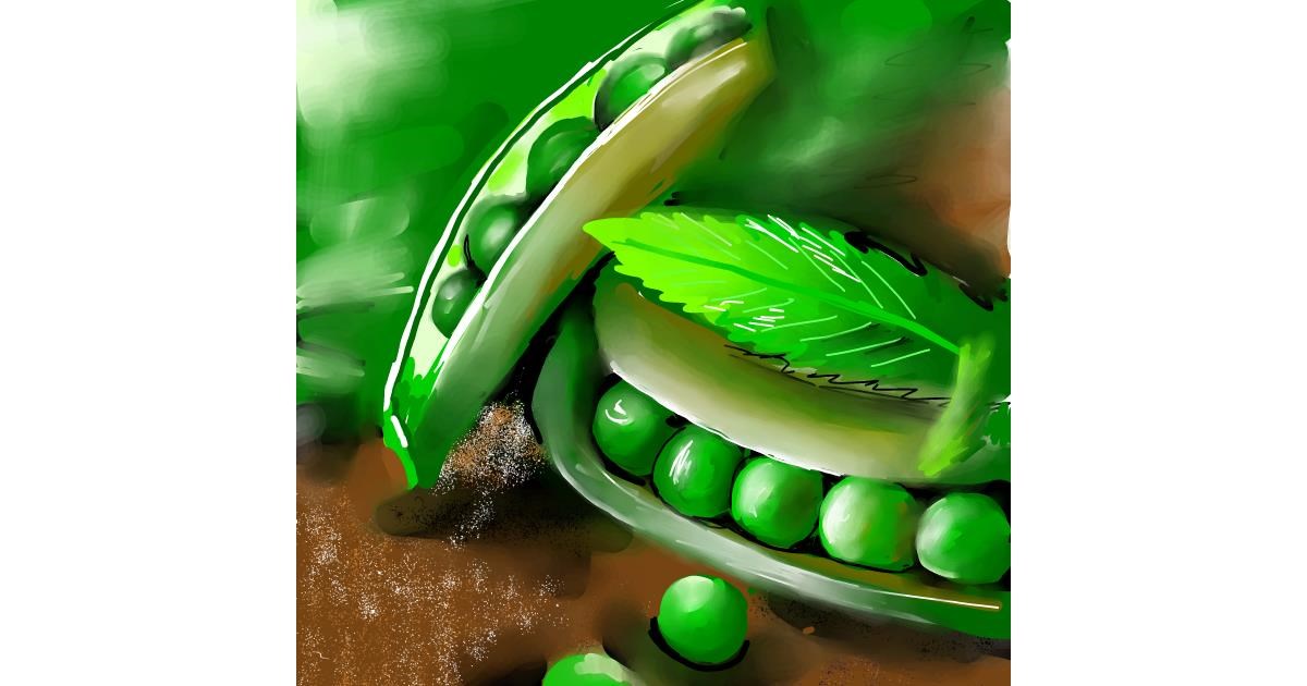 Watch Rose rocket draw Peas!