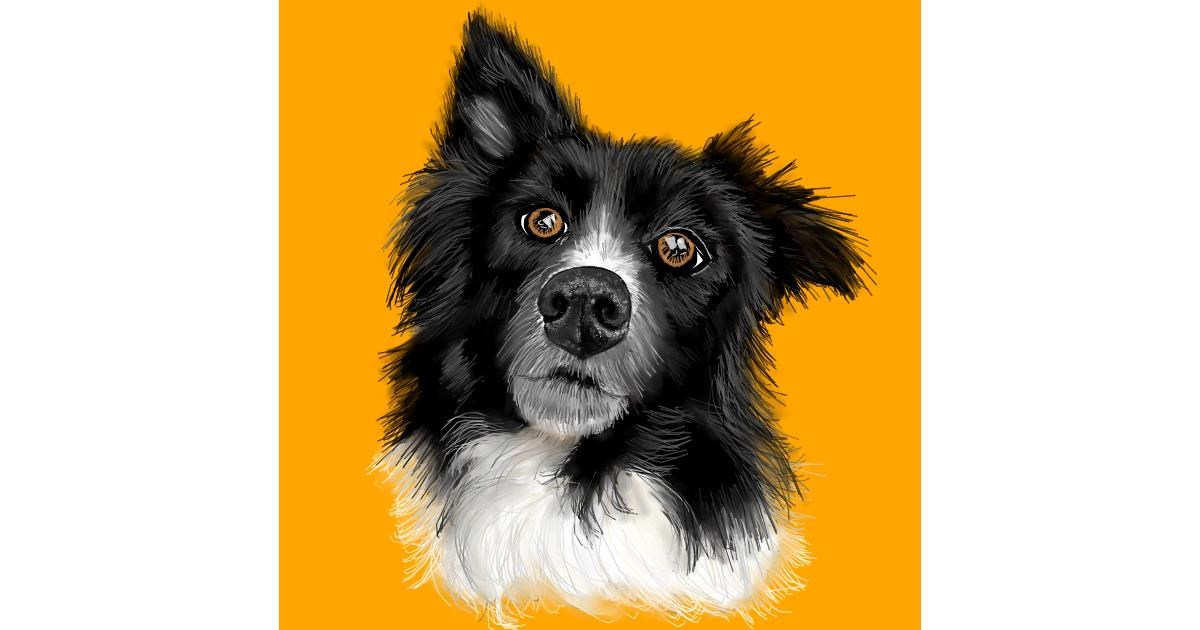 Watch Mell draw Dog!