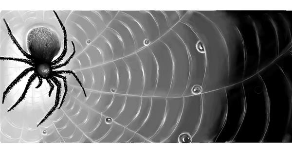 Drawing of Spider web by Yukhei - Drawize Gallery!